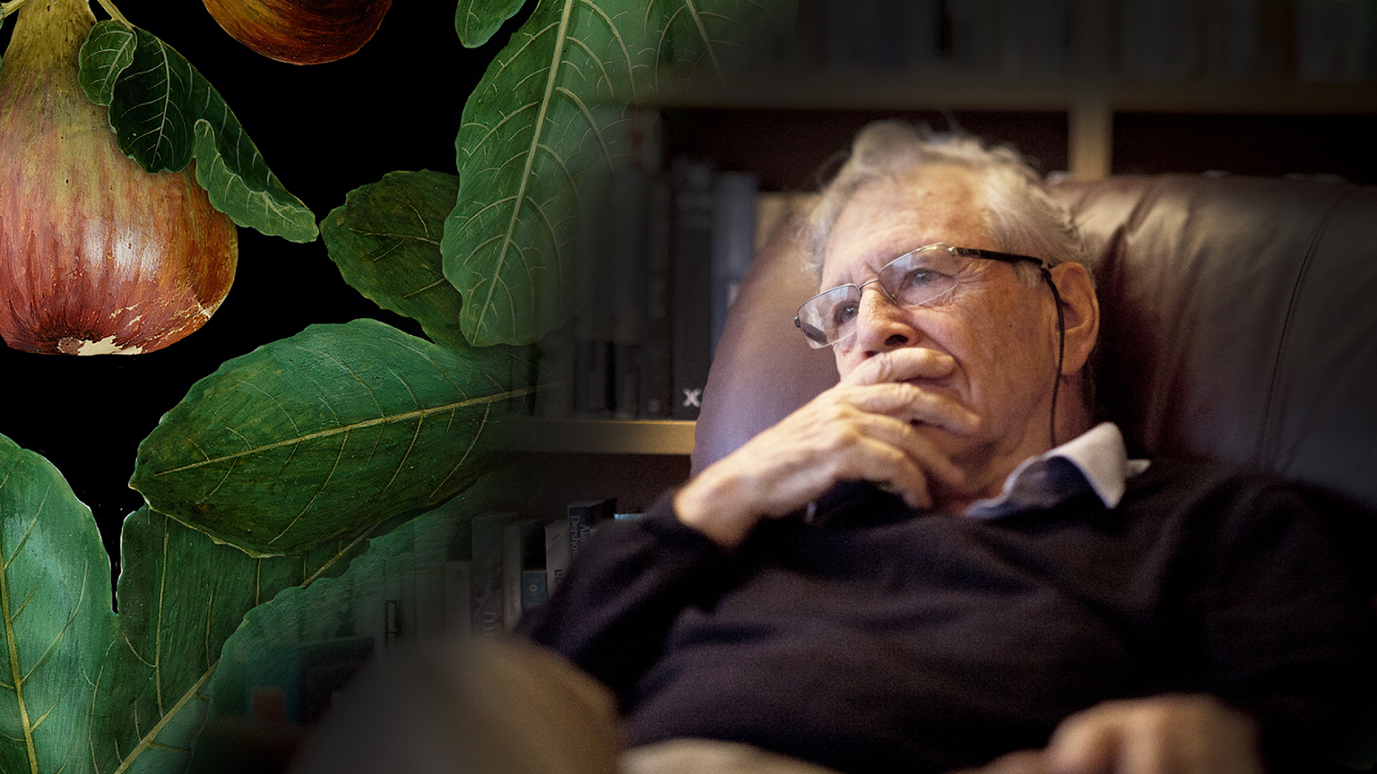 Amos Oz: ”Historien om Judas har förbryllat mig sen tonårstiden”